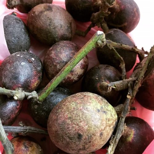 The Ultimate Guide to Fiji Fruit – the Gems of Fijian Cuisine - NomList