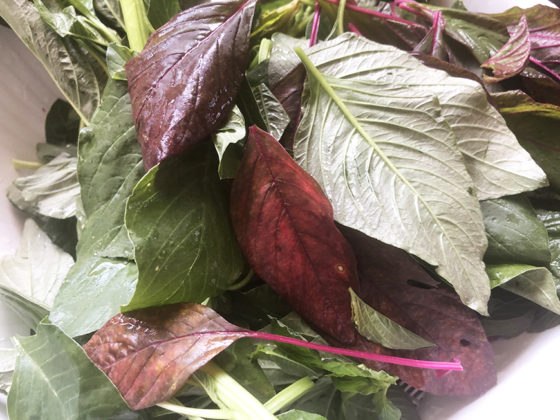 Quick and Easy Amaranth Greens and Pasta Recipe - NomList
